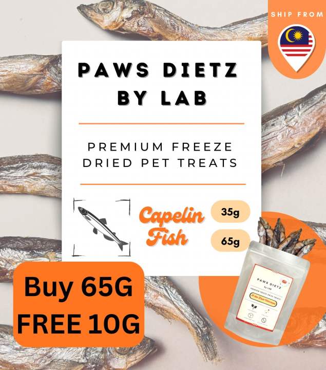 Paws Dietz by Lab Freeze Dried Premium Capelin Fish Pet Dog Cat Kibble ...