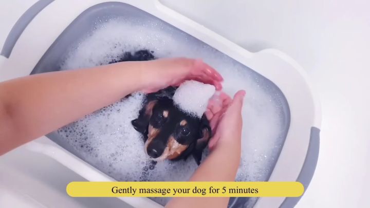 [Breezy Tail] Blooming Bubble Spa ผงอาบน้ำไมโครบับเบิ้ลช่วยชำระล้างของ ...