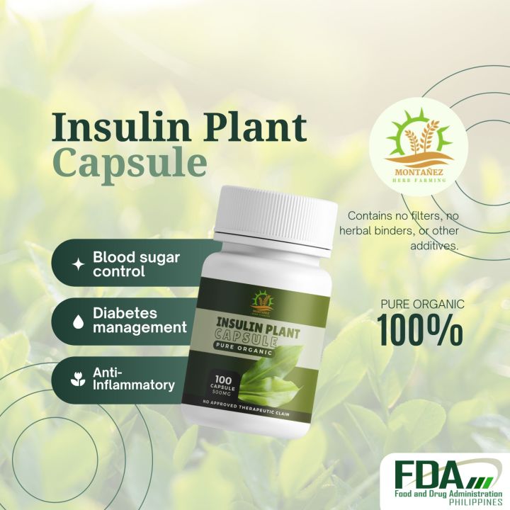 Authentic Insulin Plant Capsule 500mg/100 Capsules | Lazada PH