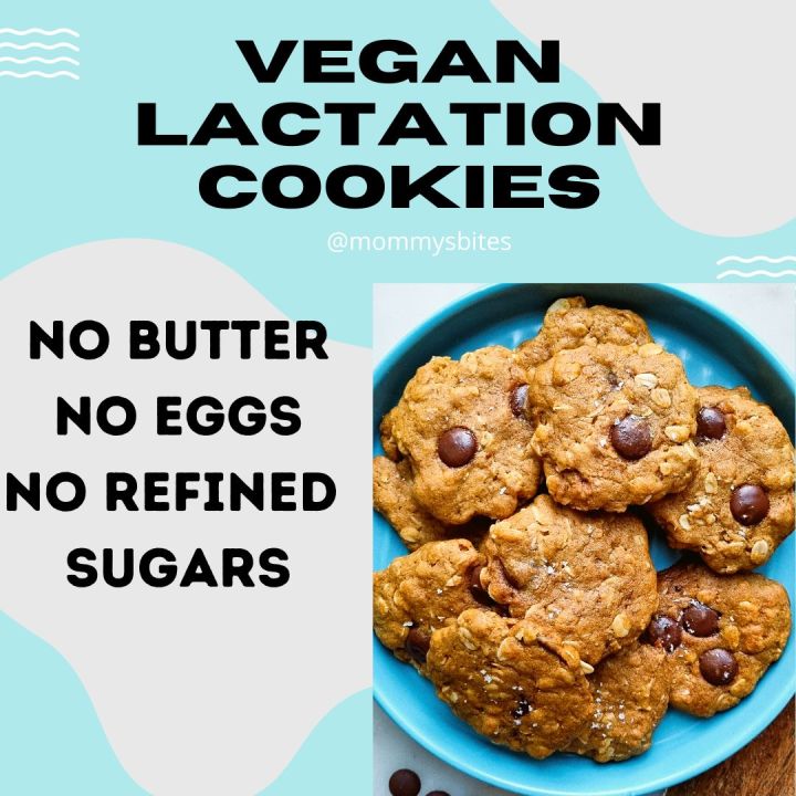 VEGAN Oatmeal Cookies Milkbooster Lactation Biskut Tambah susu badan ...
