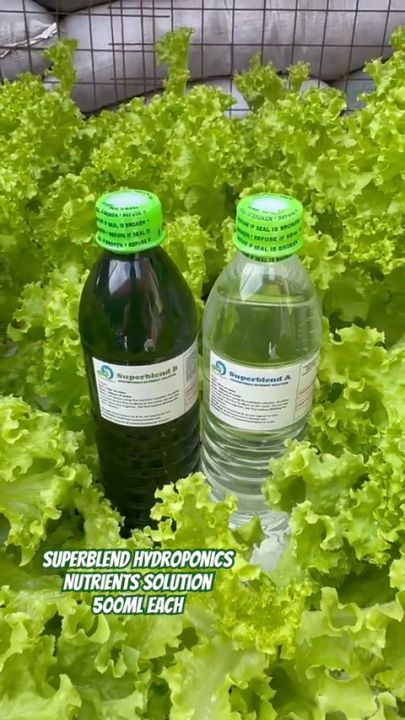 HYDROPONICS NUTRIENTS SOLUTION (500ML PAIR/1LITER PAIR) SUPERBLEND ...