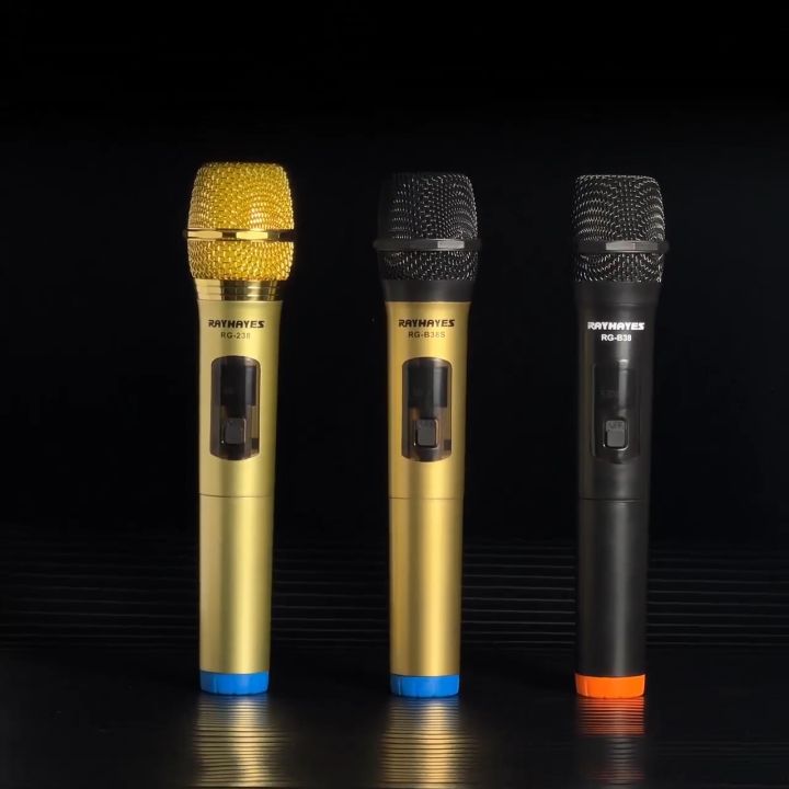 RAYHAYES RG-B38 Professional Microphone Wireless Original Karaoke ...