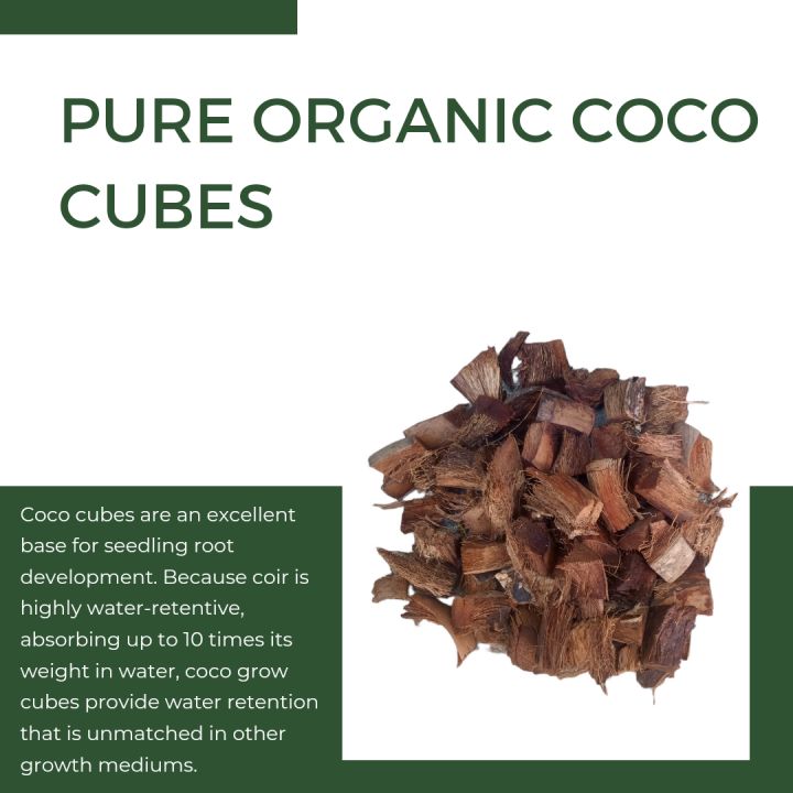 Coconut Plant Cubes 500g | Lazada PH