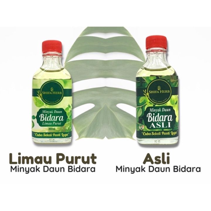 SHIFA HERB Minyak Daun Bidara Asli Limau Purut 30ml Ready Stock ...