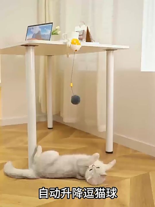 SKISOPGO Cat Ball Toy Electric Automatic Lifting Plush Ball Interactive ...