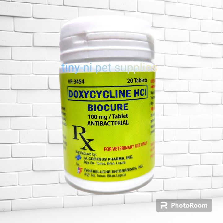 Biocure Tablet for Dog and Cat|Sold Per Tablet For Respiratory ...