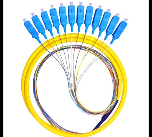 1.2m 12 Cores Fiber Optic Pigtail SC/UPC 3mm Multiple Shares Square ...