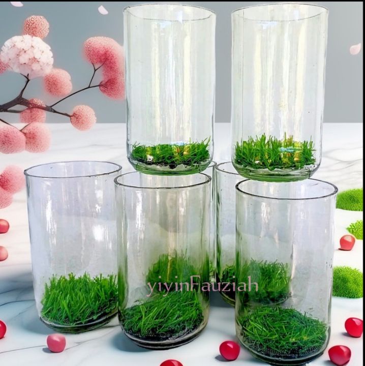 Botol kaca botol ikan hias/botol tabung ukuran 700ml/wadah ikan hias ...