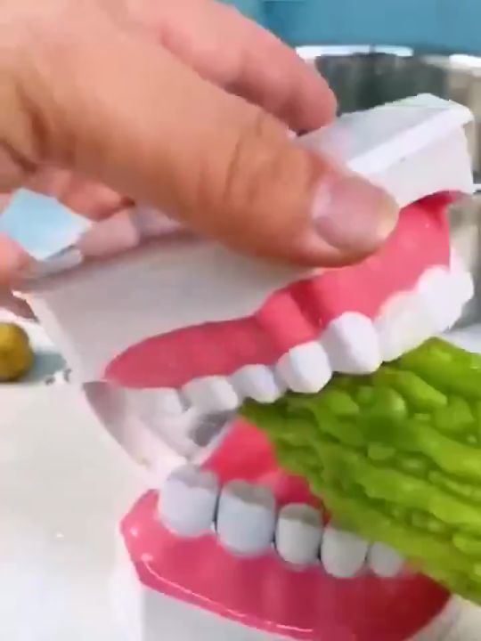 original repair teeth molder Fixing The Missing and Broken Tooth ...