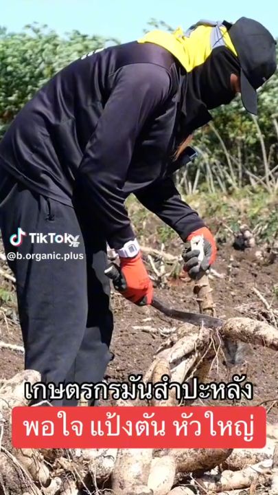 B-Organic Plus บีออร์แกนิคพลัส ลดปุ๋ย เพิ่มผลผลิต 500 ซีซี 1 ขวด แถมฟรี เสื้อ 1 ตัว | Lazada.co.th