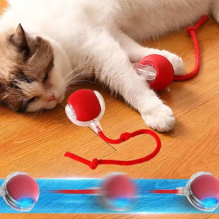 KEBIDU Electric Cat Ball Toys Automatic Rolling Ball Rechargeable Smart ...