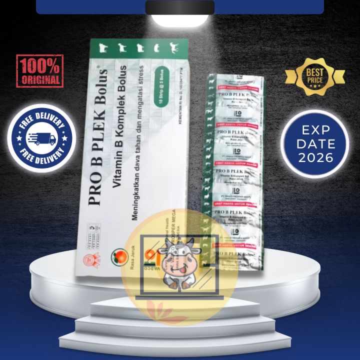 PRO B PLEX BOLUS - Vitamin B Complex Bolus Vadco Rasa Jeruk Untuk ...