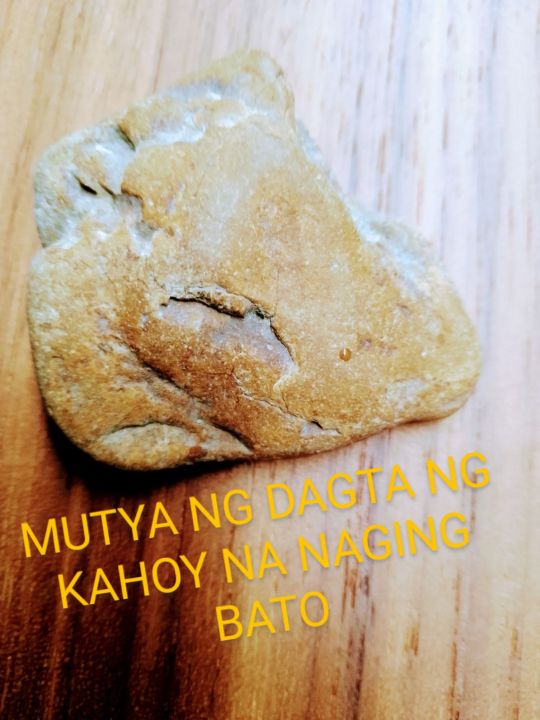 MUTYA NG DAGTA NG KAHOY NA NAGING BATO AGIIMAT | Lazada PH