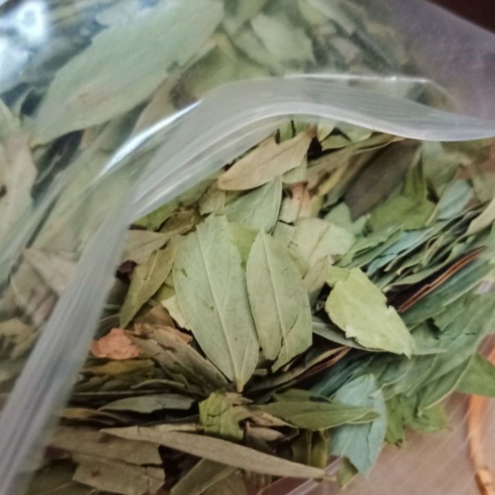 100g 500g 1kg Teh Daun Senna Sanna Original | Lazada