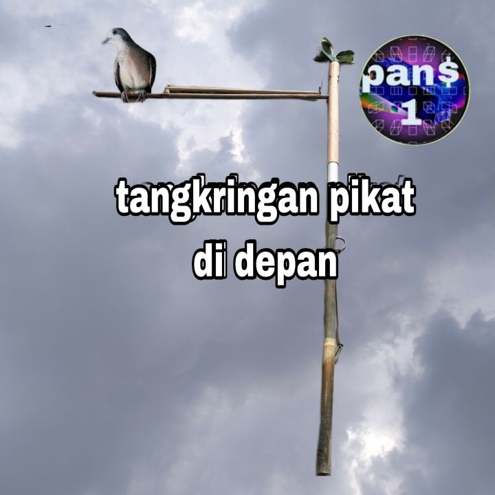 jebakan burung perkutut kutilang | Lazada Indonesia