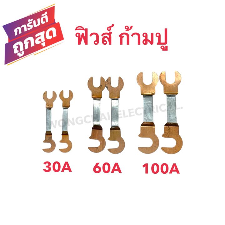 ฟิวส์ก้ามปู 30A -60A-100A (ขายเป็นคู่) ฟิวส์คัทเอาท์ ฟิวส์ตัดระบบไฟ | Lazada.co.th