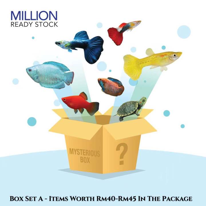 🔥Aquarium Exclusive Special (Suprise) Box🔥/ Kotak Kejutan Khas ...