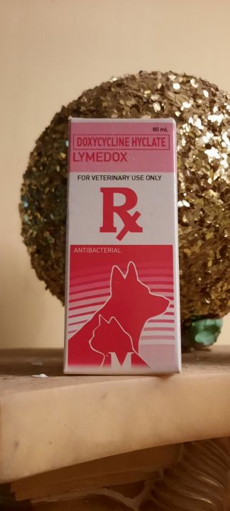 Lymedox for pets | Lazada PH