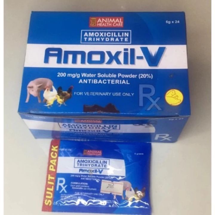 AMOXIL-V 6g sachet, for veterinary use only | Lazada PH
