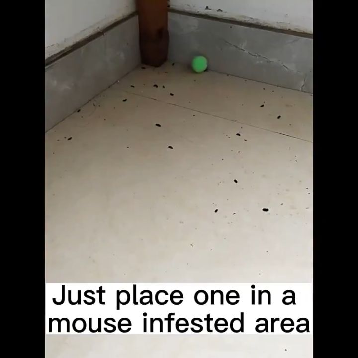 🐭10 years no mice🐭Mothballs for rats Mouse Repeller Effectively Repel ...