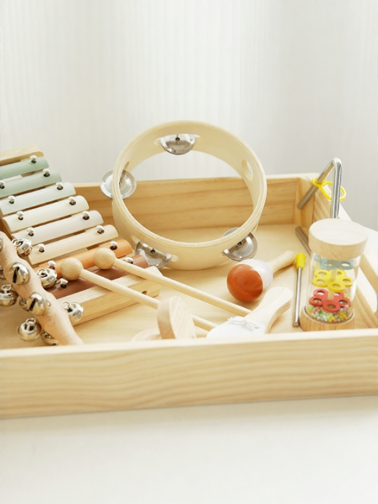 Shark Ninja | Educational Musical Toys Wooden Hand Drum Rattles Maracas ...