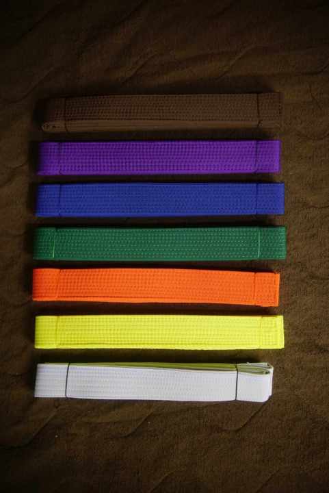 Karate Martial Art Belt | Lazada PH