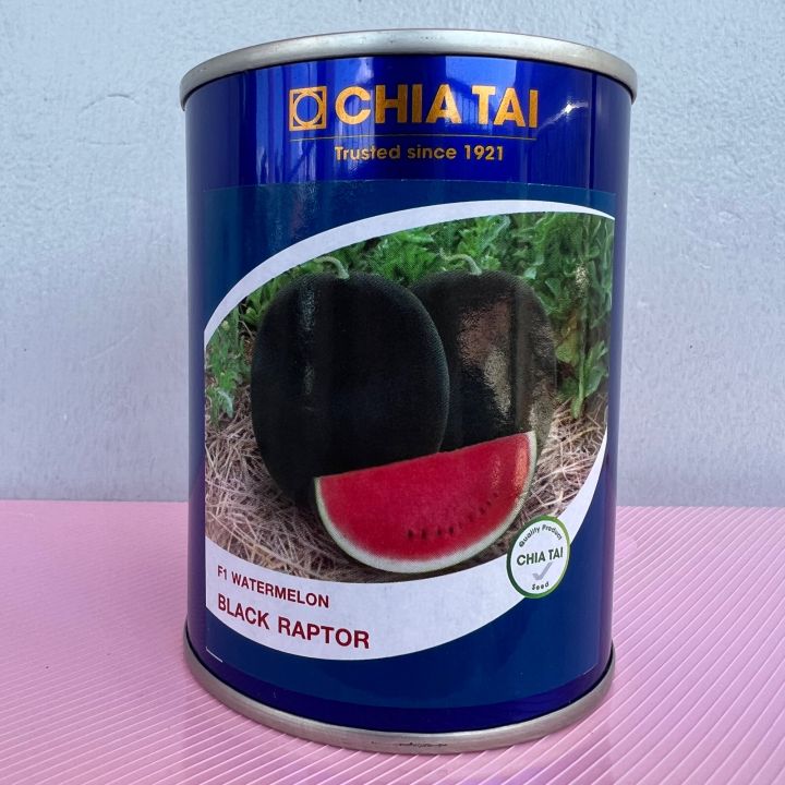 BLACK RAPTOR F1 CHIA TAI SEED JUMBO SIZE HYBRID WATERMELON PAKWAN ...