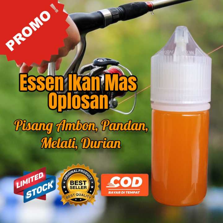 esen ikan mas gacor pisang pandan melati durian terbaru | Lazada Indonesia