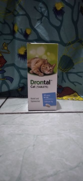 Obat Cacing Kucing Drontal For Cat 1 Tablet | Lazada Indonesia