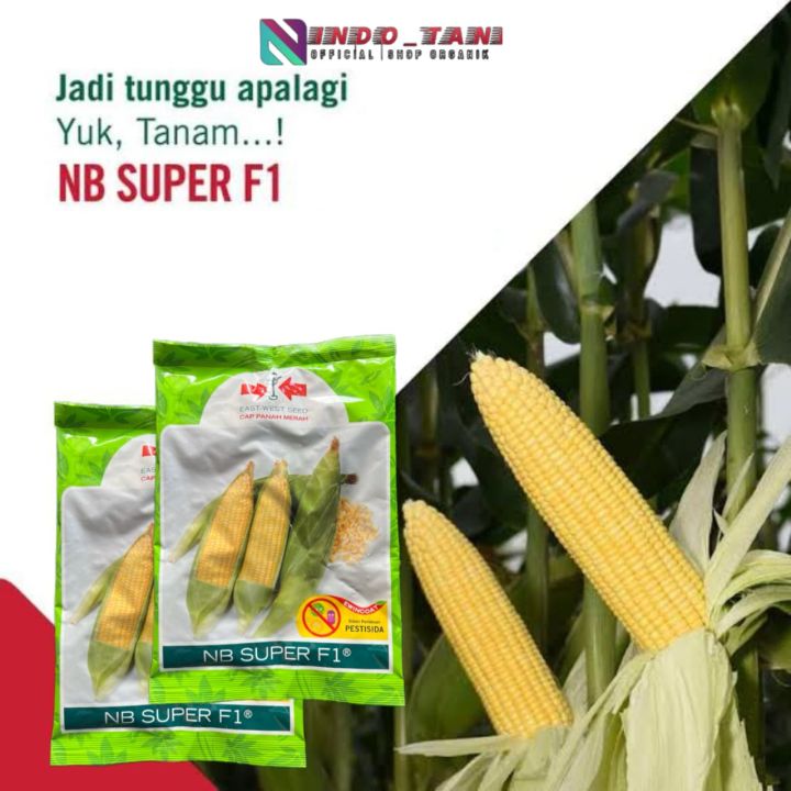 benih jagung manis unggul NB SUPER F1 isi 1750biji berat 250.gram ...