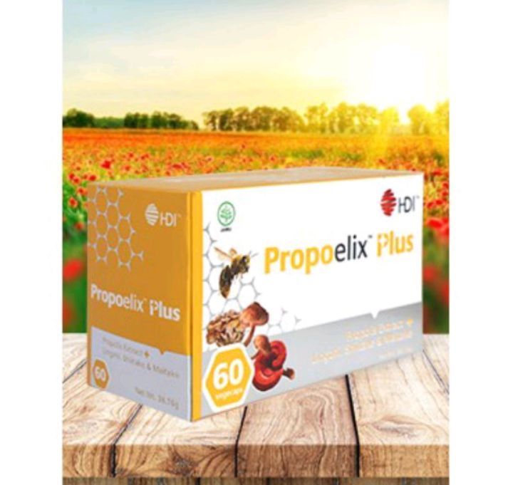propoelix plus 60 kapsul original exp 2025 | Lazada Indonesia