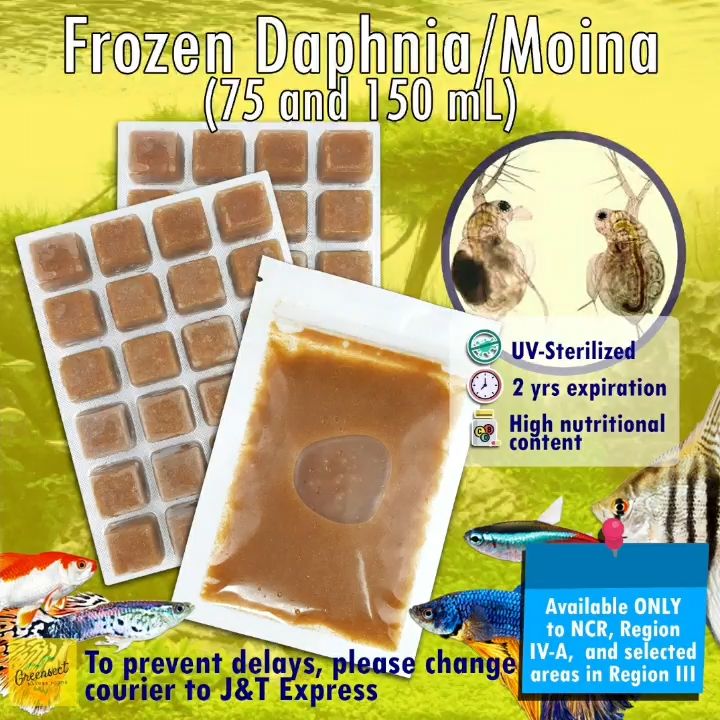 Frozen Daphnia Moina (WHOLESALE) fish food pet food | Lazada PH