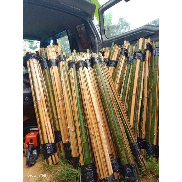 Buluh pancang/ buluh penyokong pokok/ bamboo support 10 batang | Lazada