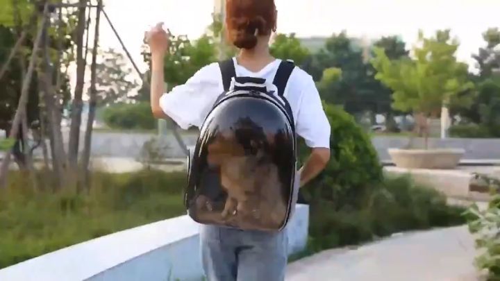 3H Pet Carrier Beg/Kucing Cat Backpack/Cat Bag Carrier Bag/Kucing Galas ...