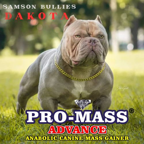 PROMASS ADVANCE 500grams | Lazada PH