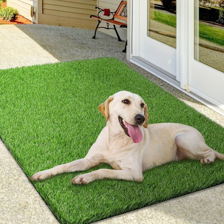 TPR Rubber Bottom Dog Potty Training Mat Easy Clean Anti-odor Indoor ...