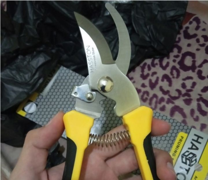 HASSTON PROHEX 1353-005 GUNTING RANTING DAHAN BUNGA GRIP KARET | Lazada ...