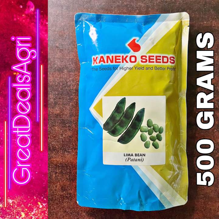 LIMA BEAN / PATANI SEEDS (500 GRAMS) by KANEKO | Lazada PH