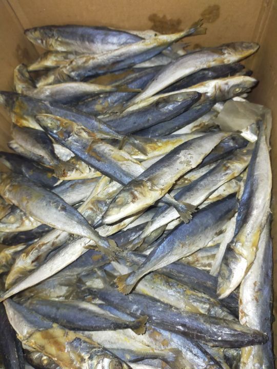 Ikan Layung Asin Ukuran Sedang Siap Goreng Kemasan 100 Gram | Lazada ...