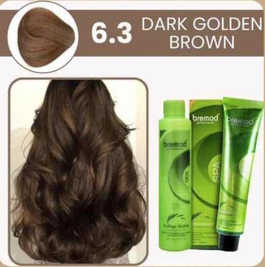 Dark Golden Brown Bremod Hair Color with 100ml Oxidizer | Lazada PH