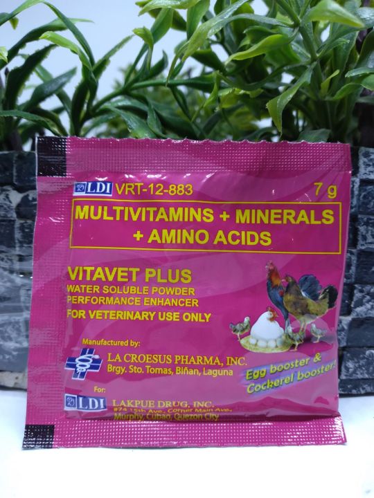 Vitavet Plus Multivitamins + Minerals + Amino Acids ( 7grams ) | Lazada PH