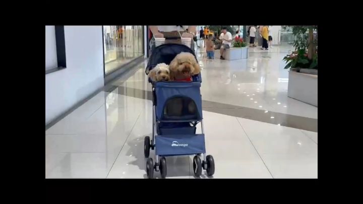 Doogo Pet Foldable Travel Stroller for Dog and Cat 4 Colors | Lazada PH