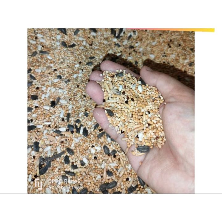 African Mix Bird Seed Blue Crown Brand | Lazada PH