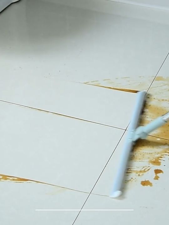 GREENSINDOOR Magic Broom Mop Long Handle Floor Wiper Cleaner Squeegee ...