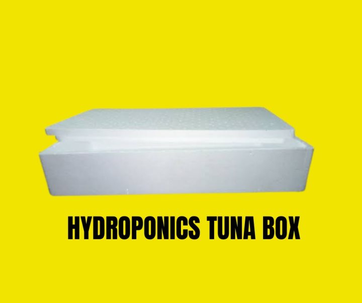 Tuna Styrobox for Hydroponics with 15 Holes | Lazada PH