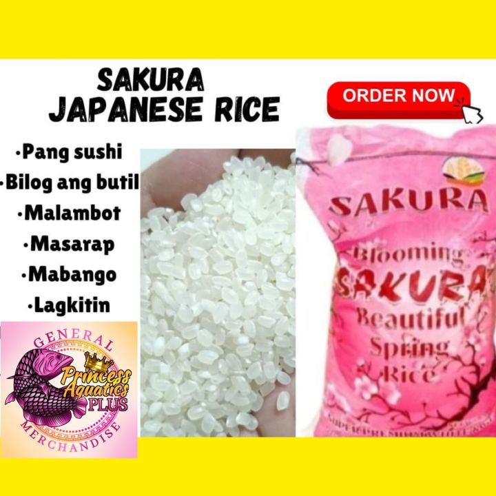 JAPANESE RICE SAKURA For sushi and Authentic Japanese Dishes # | Lazada PH