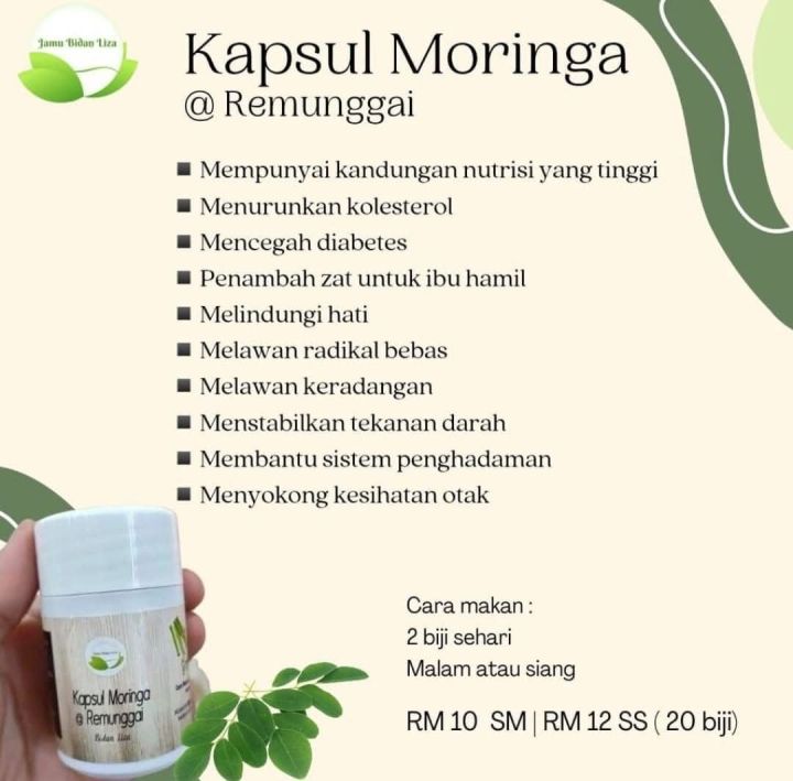 Kapsul Moringa Original dari Daun Moringa | Lazada