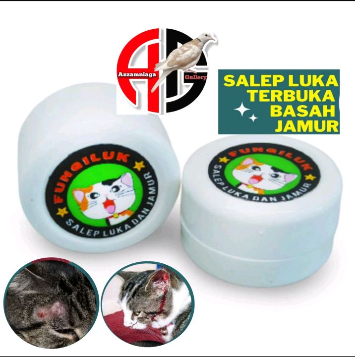 SALEP LUKA DAN JAMUR FUNGILUK SALEP JAMUR KUCING ANABUL ANJING FUNGILUK ...