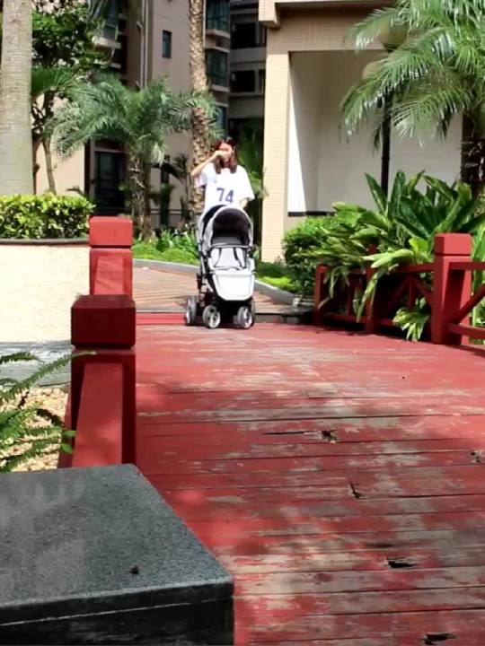 Twin Baby Stroller Dragon and Phoenix Tire Lightweight Size Two-Child ...