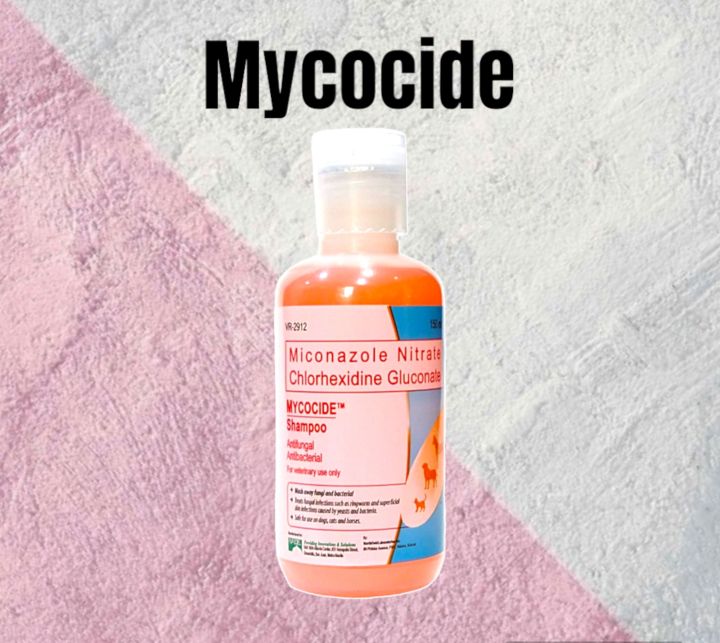 Mycocide Anti Fungal , Antibacterial Shampoo 150ml | Lazada PH